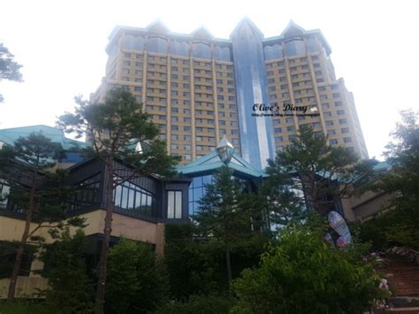 올 여름휴가의 마무리는 하이원 강원랜드 그랜드호텔 메인타워 월드퓨전 조식뷔페로 즐기는 호캉스 네이버 블로그