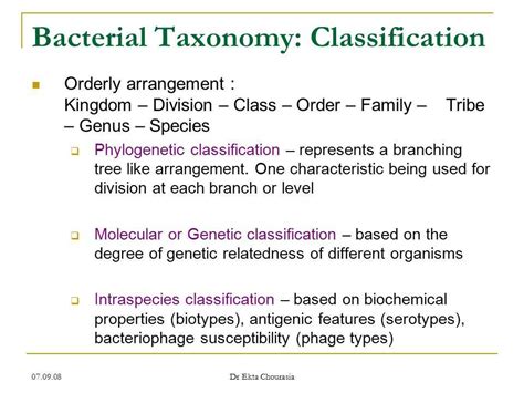Unlocking The Secrets Of Taxonomy And Classification Your Answer Key