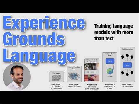 free video experience grounds language improving language models