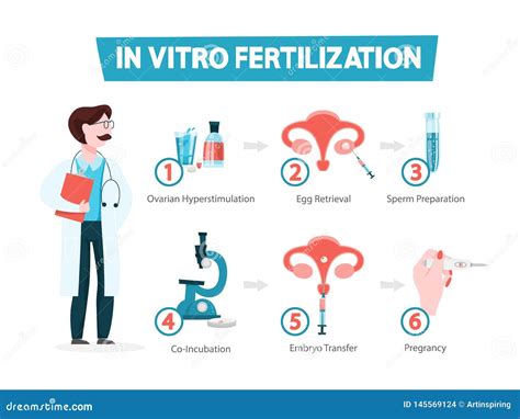 Artificial Pregnancy Vector Illustration With Couple After Successful