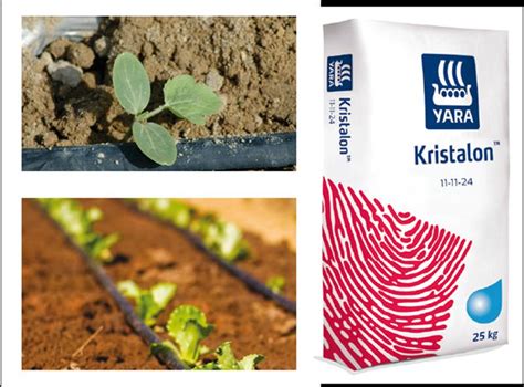 Specialty | Triferto Meststoffen | Kristalon NPK meststoffen