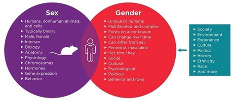 Sex Humans Nonhuman Animals And Cells Typically Binary Male Female