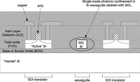 Conceptional Cross Section Of Silicon Cmos Photonics Technology Not To
