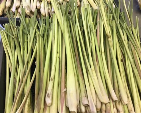 Daun Sereh Hijau Segar Daun Serai Segar Bumbu Dapur Lazada Indonesia