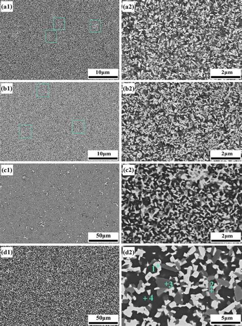 Sem Micrographs Of Sample L4 Heat Treated At Different Temperatures For
