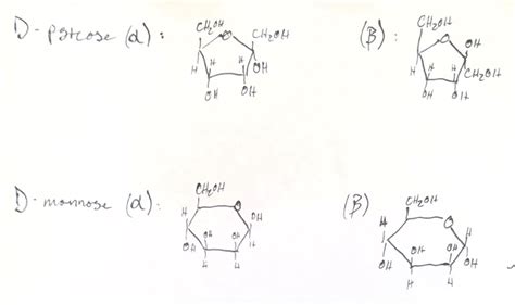 Draw Both Possible Disaccharides Cyclic Of