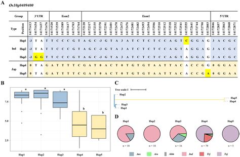 Frontiers Analysis Of Quantitative Trait Loci And Candidate Gene Exploration Associated With