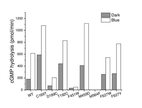 29 Single Site Directed Mutagenesis Analysis Of Yfp Srrhopde All The