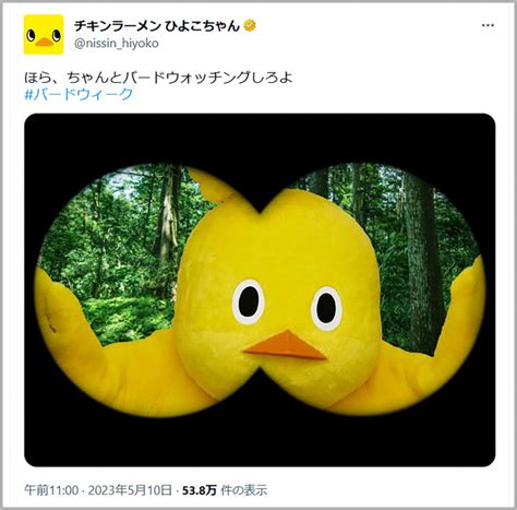 チキンラーメン公式キャラ・ひよこちゃんが鳥好きを煽る「ほら、ちゃんとバードウォッチングしろよ」 連載jp
