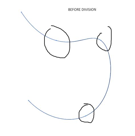 Solved Dividing An Arc Or A Curve Equally Adobe Community