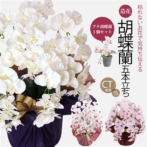 【楽天市場】胡蝶蘭 造花 大輪 5本立ち プチ胡蝶蘭1個付き セット 花 ギフト プレゼント お祝い Ct触媒 光触媒 誕生日 開店 開院祝い