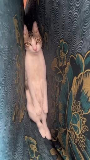 Nothing To See Here Move Along 😂😂
