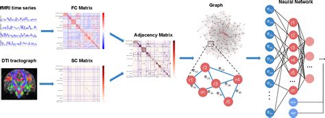 Figure 1 From Bracenet Graph Embedded Neural Network For Brain Network Analysis Semantic Scholar
