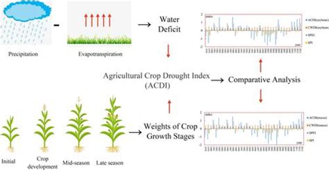 基于生育期权重的农作物干旱指数研究hydrological Processes X Mol