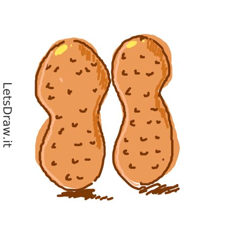 How To Draw Peanuts Nf Om Kr Png LetsDrawIt