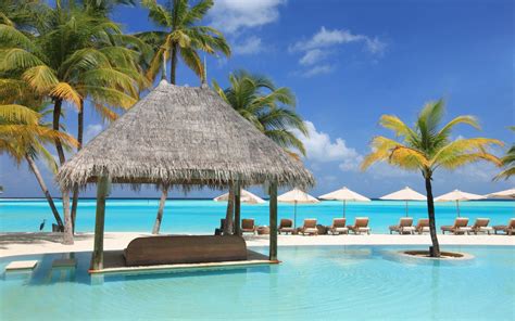 1920x1200 Beach Palm Trees Sea Wallpaper Coolwallpapersme
