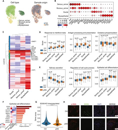 Single Cell Transcriptome Profiling Reveals Immune And Stromal Cell