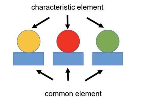 Lo2 Building Blocks And Linear Polymerization Flashcards Quizlet