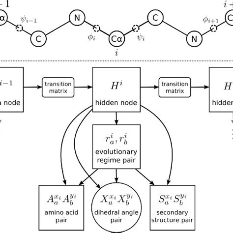 Above Dihedral Angle Representation A Small Section Of A Single