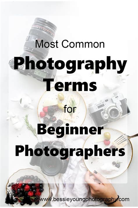 Common Photography Terms For Beginner Photographers Artofit
