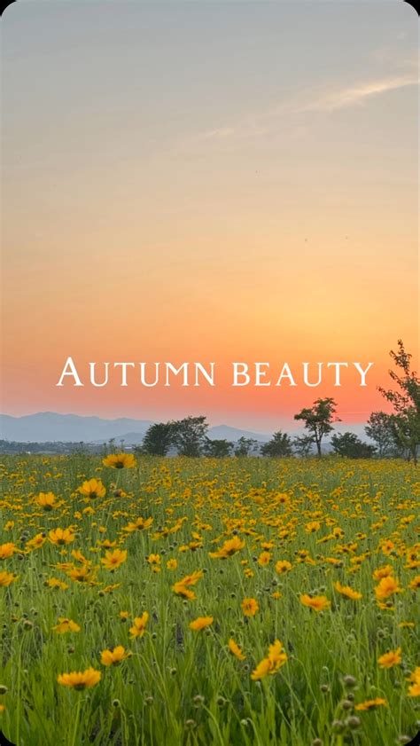 어텀뷰티 • 메이크업클래스 • 퍼스널컬러진단 💐 에어브러시 에어브러시아트 메이크업수업 에어브러시는 미용분야에서 다양한 영역에 쓰여요👩🏻‍🎨 ️아트메이크업 ️바디