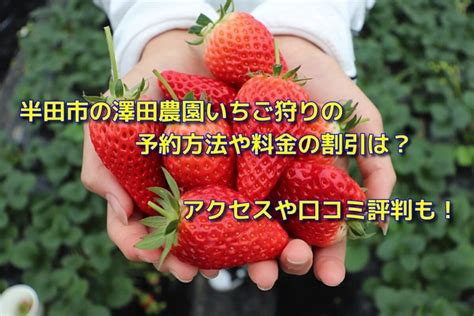 半田市の澤田農園いちご狩りの予約方法や料金の割引は？アクセスや口コミ評判も！ おでかけスポット見つけた！