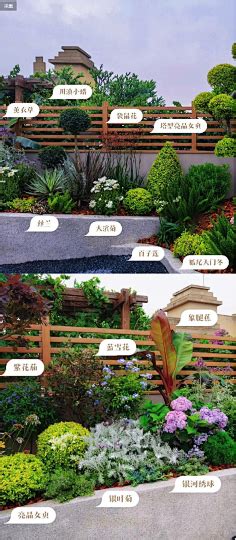 花镜配置 花瓣网 陪你做生活的设计师 装材料植物配置方案实景图