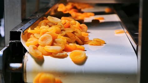 Dried Apricot Offers From Turkiye