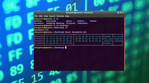Los Mejores Editores Hexadecimales Para Linux Esgeeks