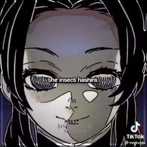 انیمه شیطان کش تانجیرو زینتسو اینوسکه نزوکو شینوبو گینا س فیلم ویسگون