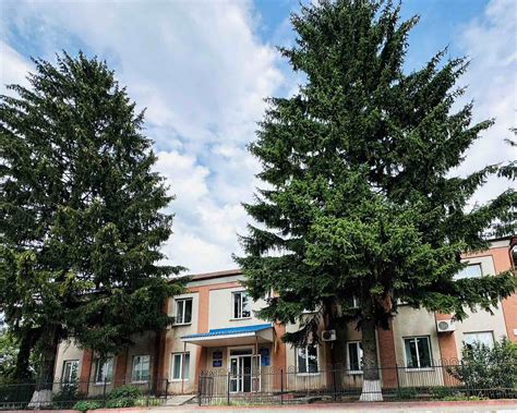 Відділ освіти молоді та спорту Крижопільської селищної ради Facebook