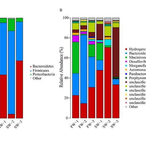 A Microbial Community Bar Plot On The Phylum Level Relative