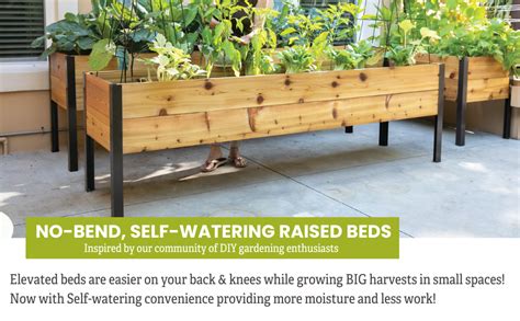 Gardeners Supply Company Raised Garden Bed Elevated Cedar