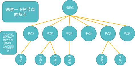 数据结构——树和图 是胡某某啊 博客园