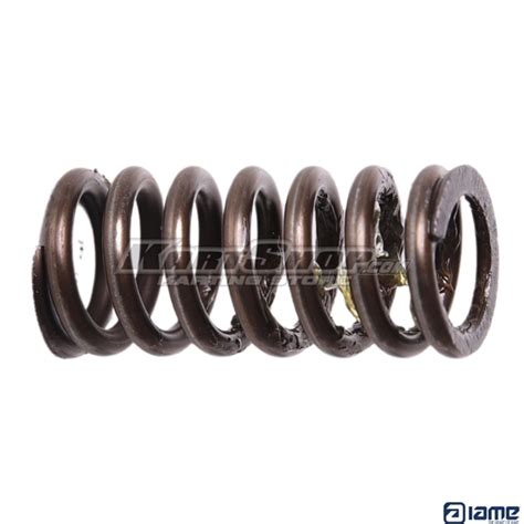 Clutch Spring Kz