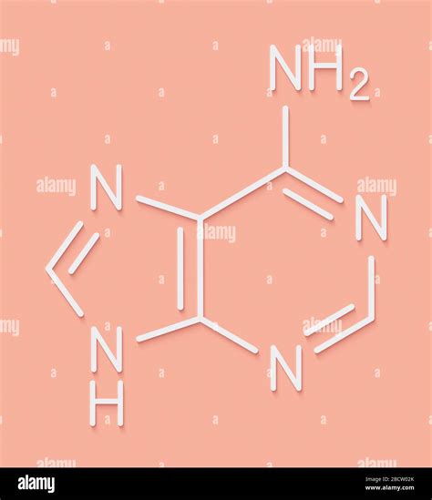 Adenine A Adenine Purine Nucleobase Molecule Base Present In DNA