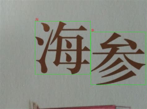 222 289张中文自然场景ocr数据 Ai数据集产品 数据堂