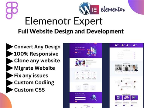 Elementor Expert Elementor Pro Elementor Developer Elementor