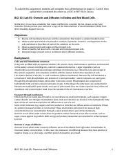 BIO 101 Lab 05 Osmosis And Diffusion 1 Docx To Submit This