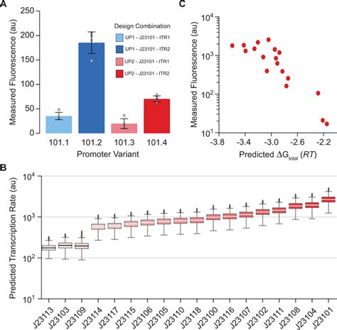 Promoter Context Effects A Measured In Vivo Transcription Rates For The Download Scientific