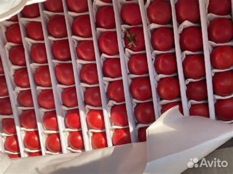 Помидоры сладкие вкусные Узбекистан купить в Москве | Товары для дома и ...