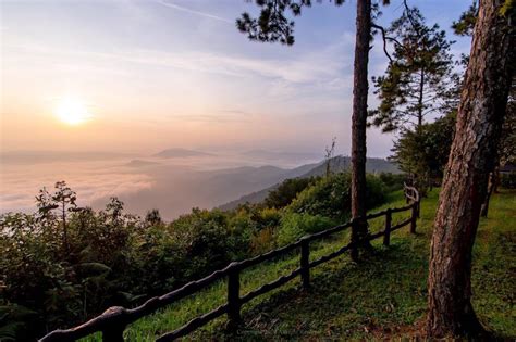 Photo Gallery คนรักทะเลเฮ อธิบดีอุทยานฯ เดินหน้าหนุนปิดอุทยานแห่งชาติ