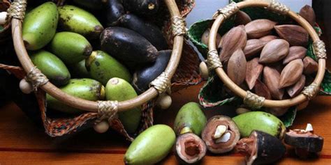 Где распространен орех пили Условия произрастания и пищевая ценность для человека Основные