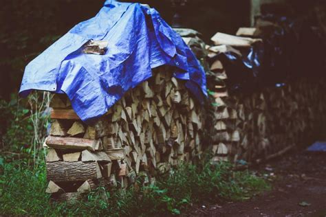 How Long Does It Take For Firewood To Dry After Rain The Smallest Step