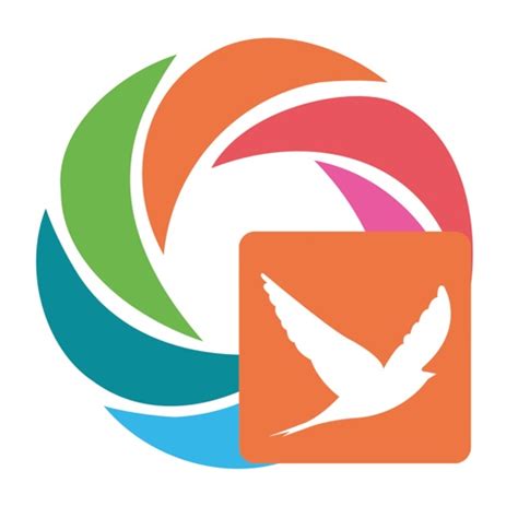 Learn To Code With Swift By Sololearn Inc