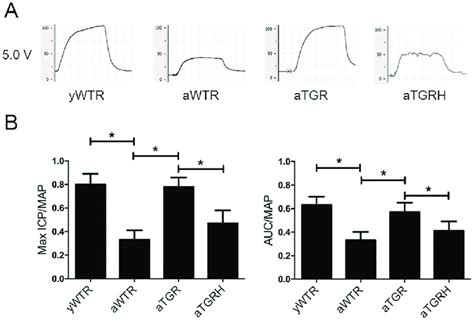 Erectile Function Of All Rats Was Measured Through Cavernous Nerve