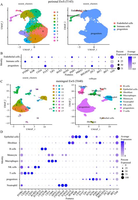 Single Cell Transcriptomic Profiling Of Perirenal Ews T143 And