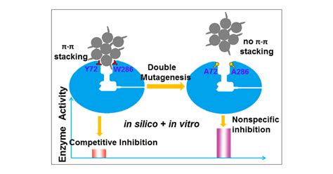 Competitive Inhibition