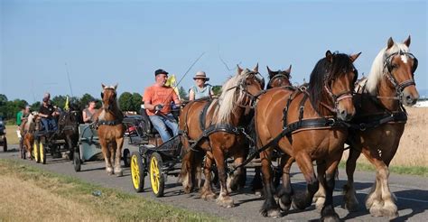 100 chevaux de trait ont sillonné la Bresse et le Val de Saône La