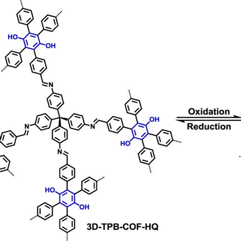 Structural Representations A Single Pts Network Of 3d Tpb Cof Hq B Download Scientific Diagram